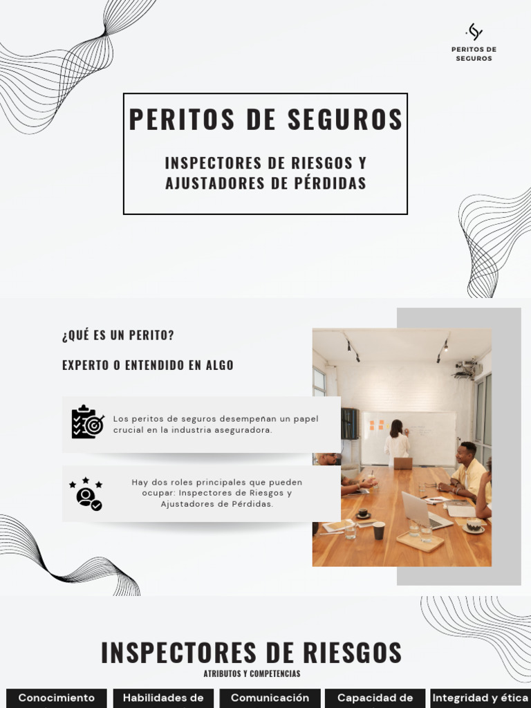 Peritos De Seguros Pdf Seguro Evaluación
