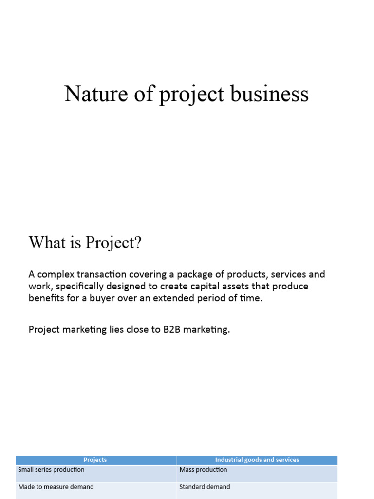 Understanding Project Business Dynamics | PDF | Procurement | Marketing