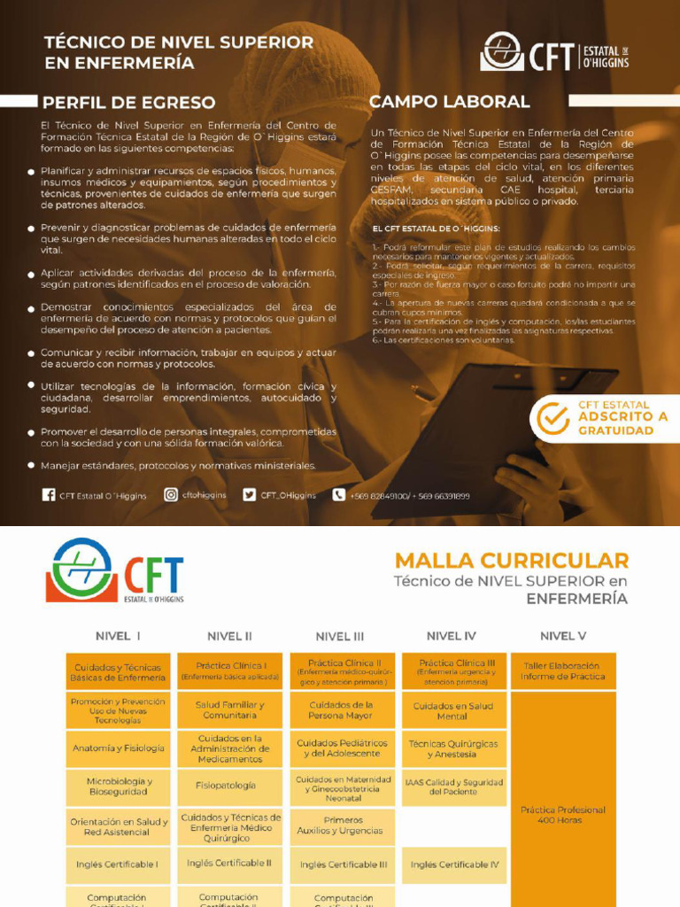 Info. TNS en Enfermería - 2024 | PDF