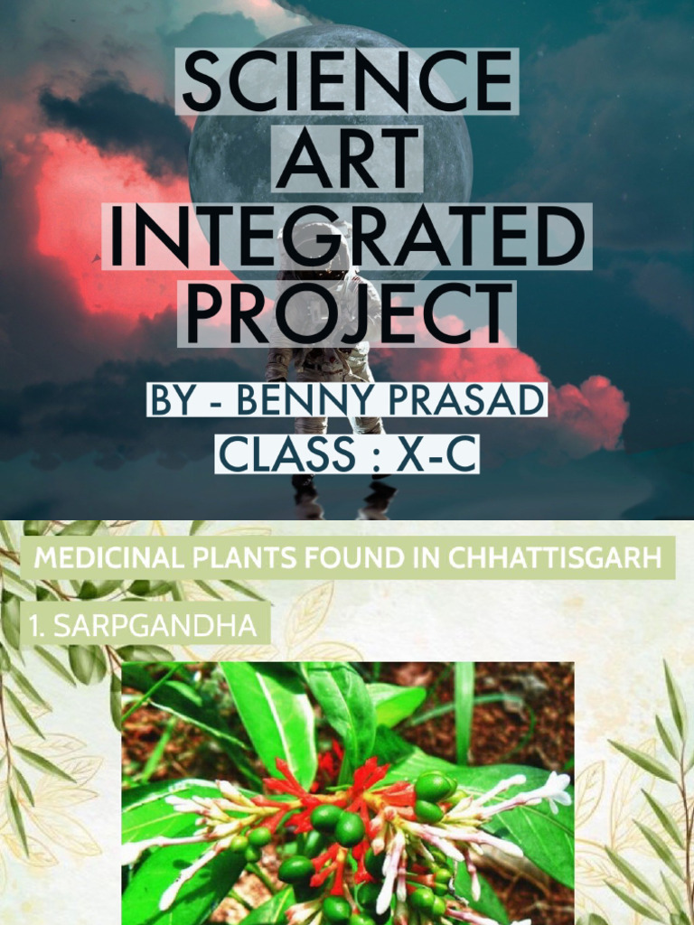 Science Art Integrated Project | PDF
