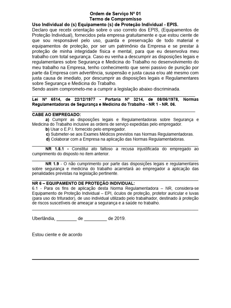 Termo EPI | PDF | Justiça | Crime e Violência