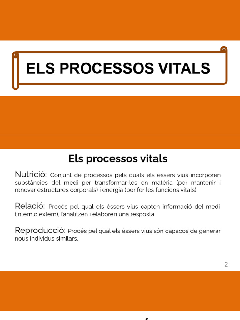 La Nutrició Dels Animals Vertebrats - Compressed | PDF