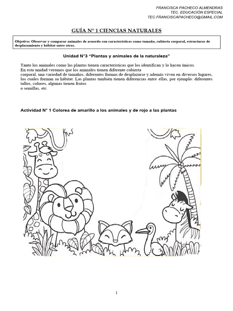 Características de animales y plantas | PDF | Piel | Plantas