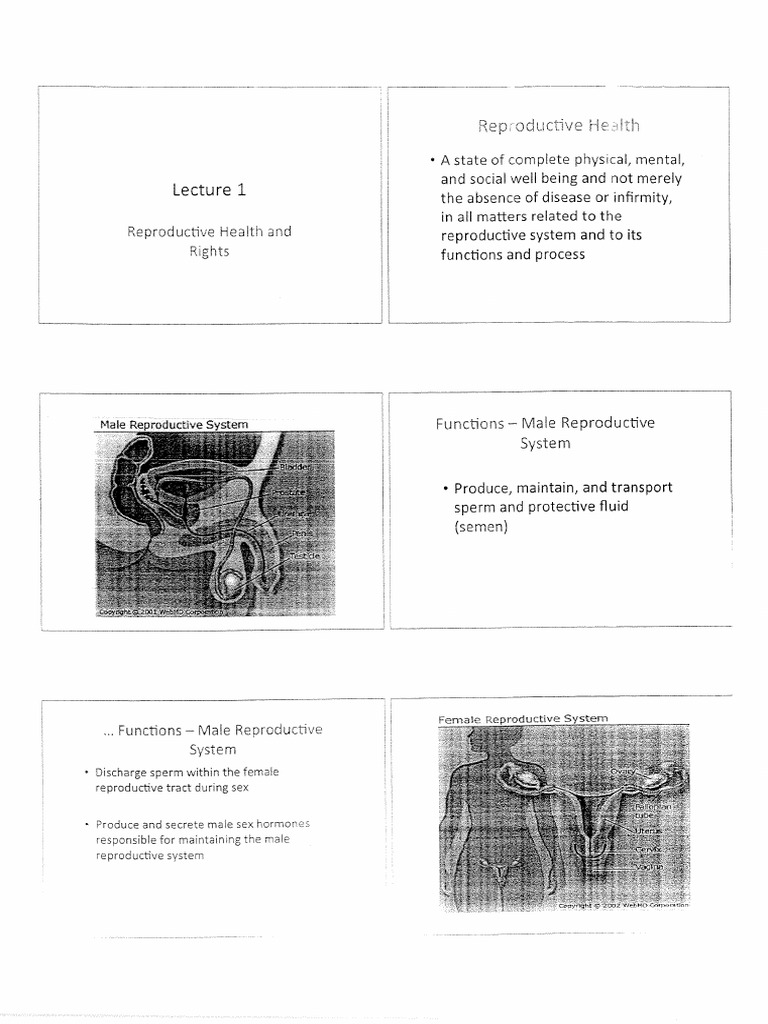 BAMBA ASP111 Reproductive Health and Development Slides | PDF