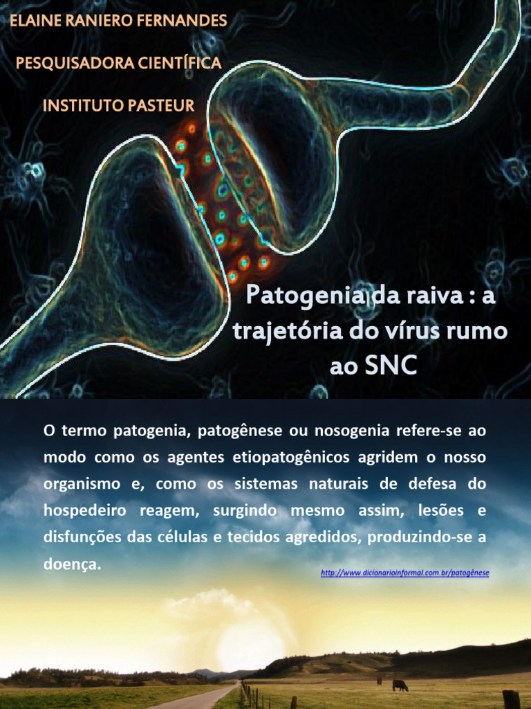 Patogenia Da Raiva: A Trajetória Do Vírus Rumo Ao SNC | PDF | Cérebro ...