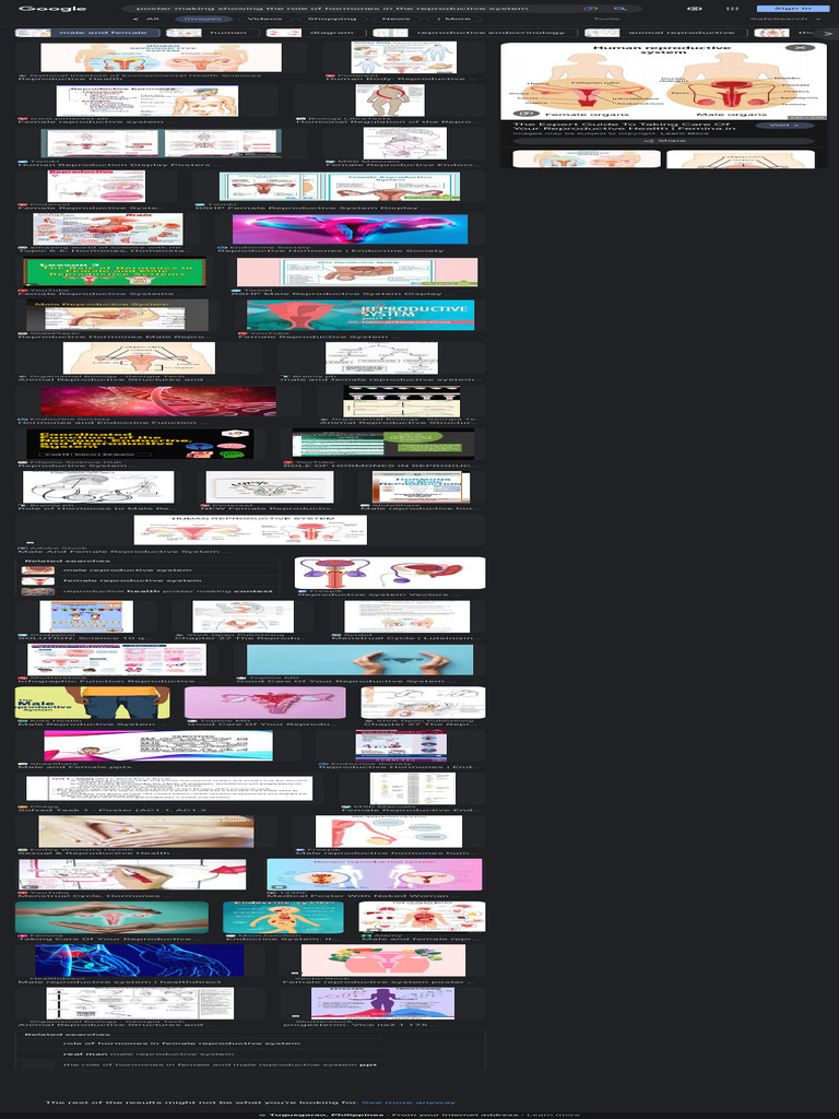 Poster Making Showing The Role of Hormones in The Reproductive System ...