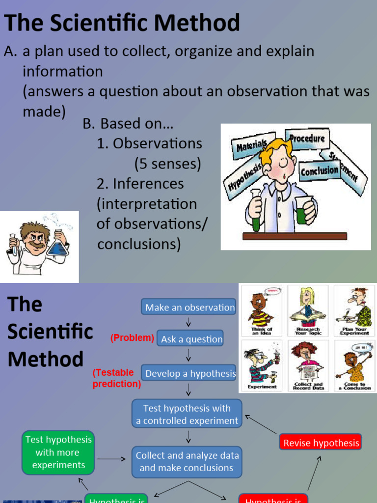 Scientific Method Explained | PDF | Experiment | Hypothesis