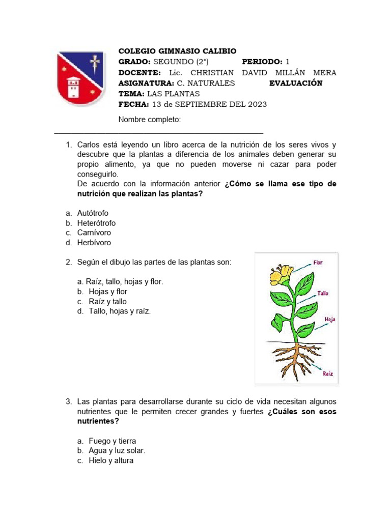 Evaluación de Las Plantas | PDF