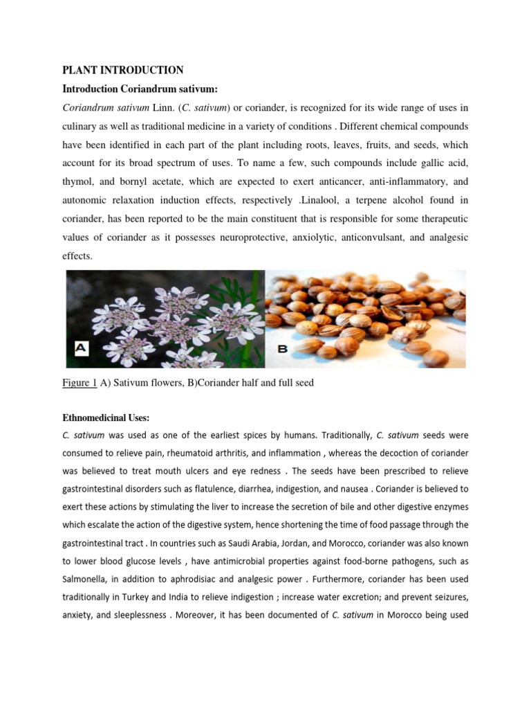 Plant Introduction | PDF | Turmeric | Polyphenol