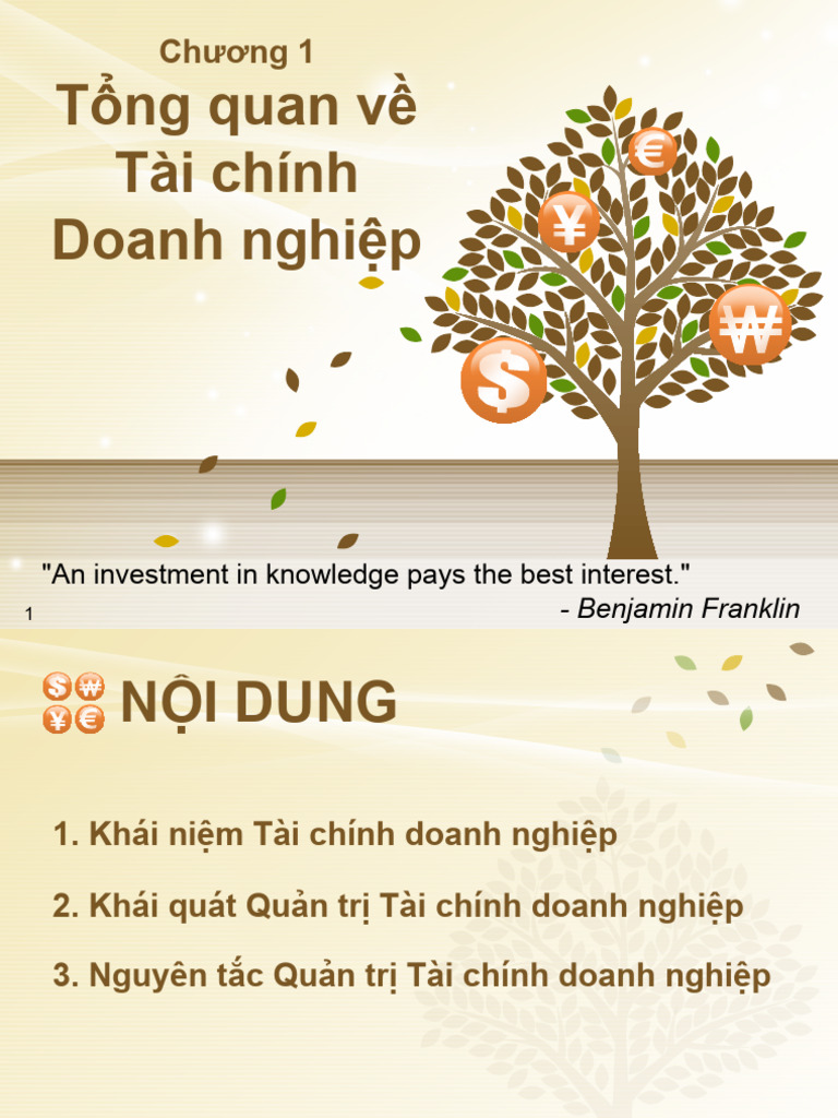 Chuong 1 - Tong Quan TCDN | PDF