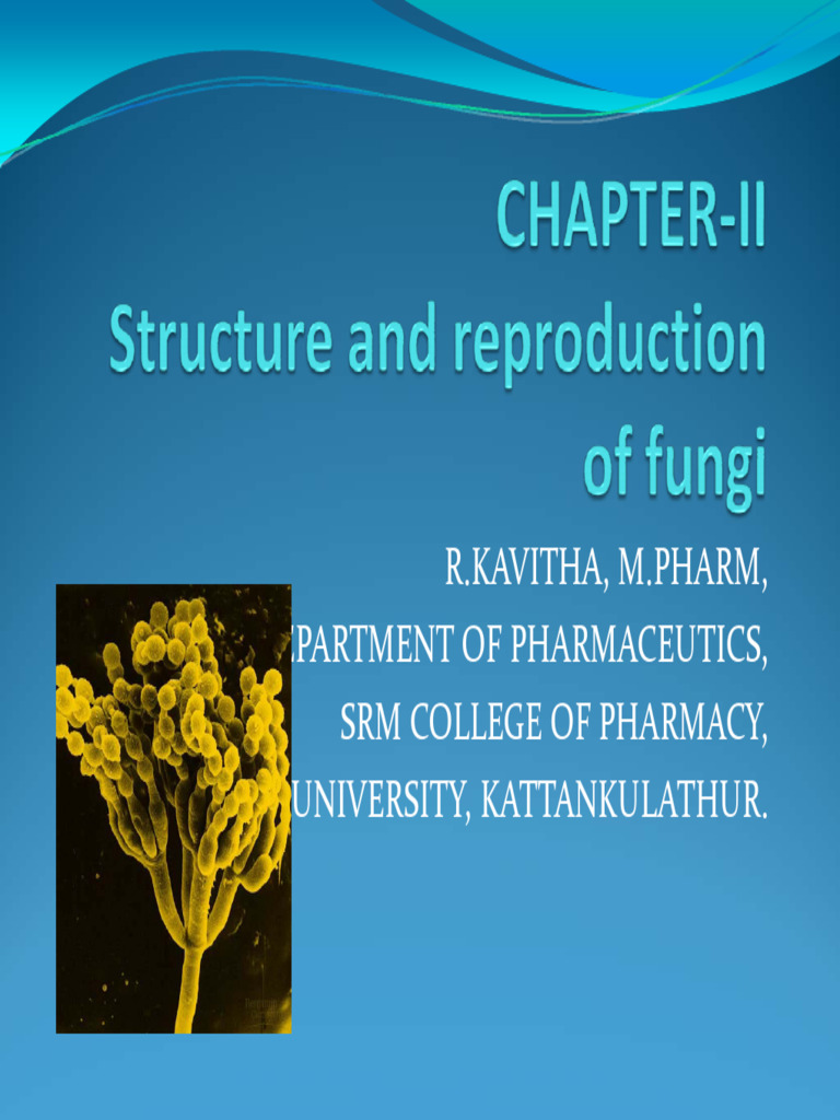 Fungi&Reproduction 2 | PDF | Fungus | Sexual Reproduction
