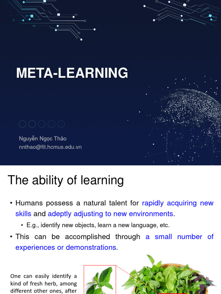 2024 MTH058 Lecture09 Meta Learning | PDF | Learning | Machine Learning