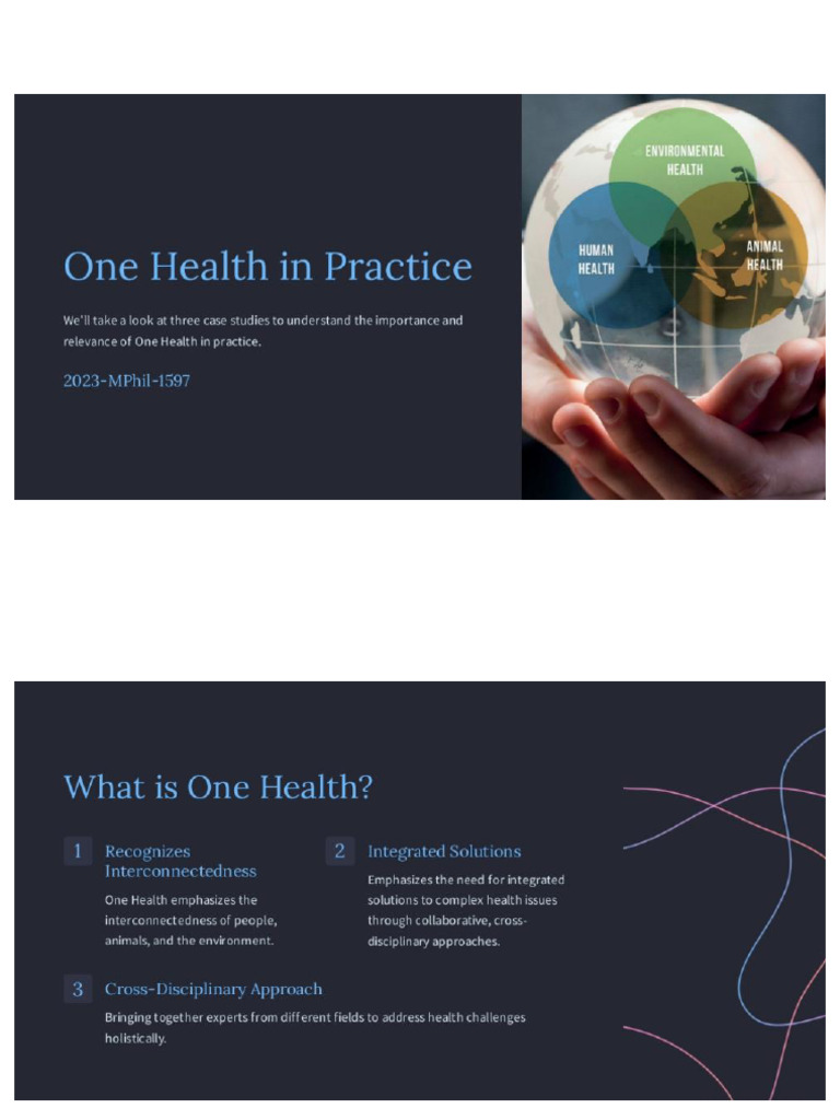 One Health in Practice Presentation | PDF