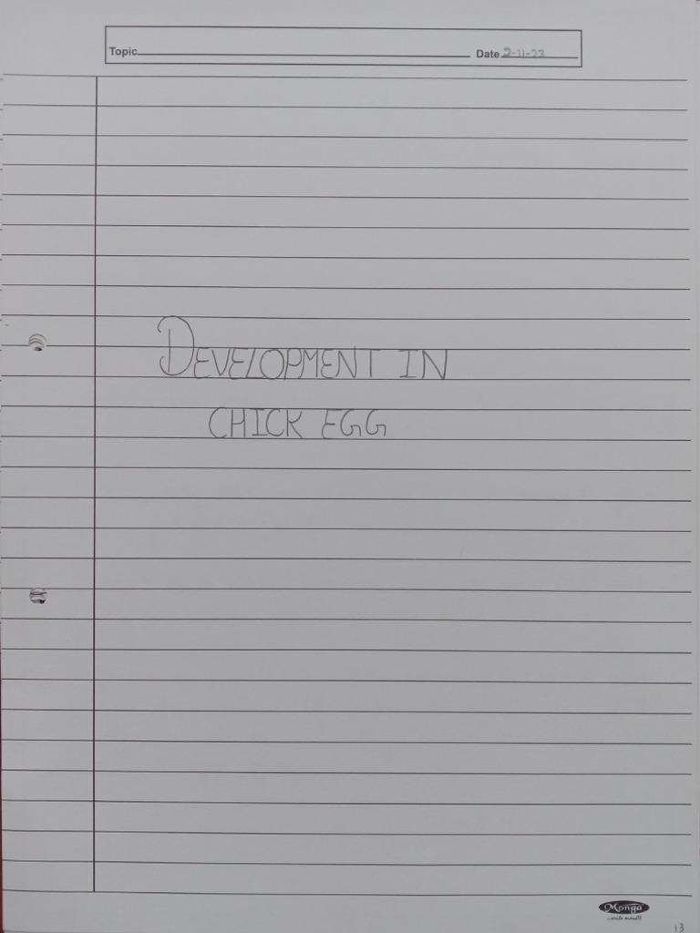 Development in Chick | PDF
