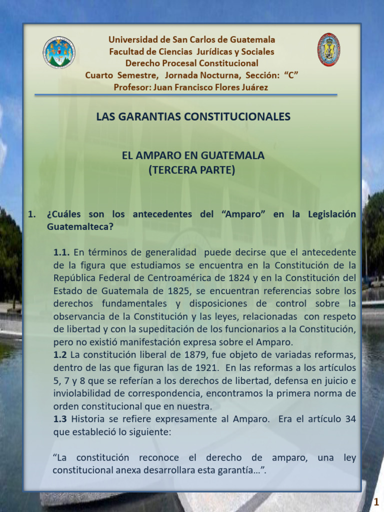 Historia del Amparo en Guatemala | PDF | Constitución | Derecho ...