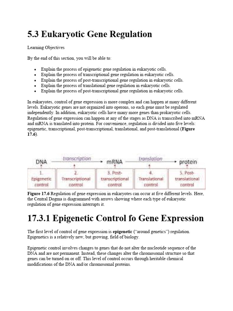 Gene Expression | PDF | Regulation Of Gene Expression | Promoter (Genetics)