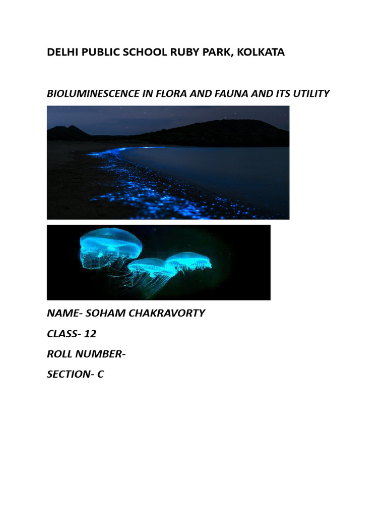 Bioluminescence in Flora and Fauna and Its Utility | PDF | Luciferase ...