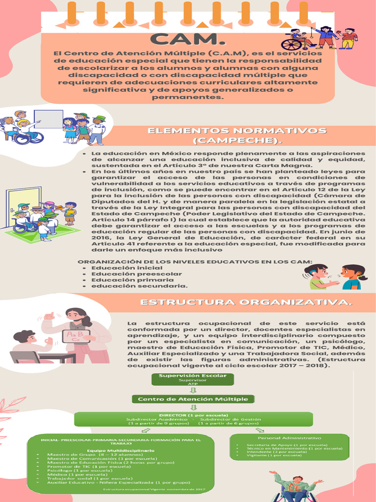 Infografía Del Cam - Darina Liseth Pan Col - Tercer Semestre Grupo B | PDF | Invalidez ...