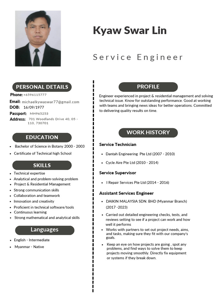 Professional CV Resume | PDF | Human Communication | Science
