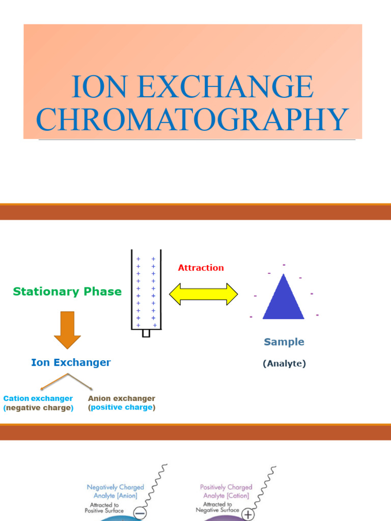 Ion exchange chromatography | PDF | Ion Exchange | Ion