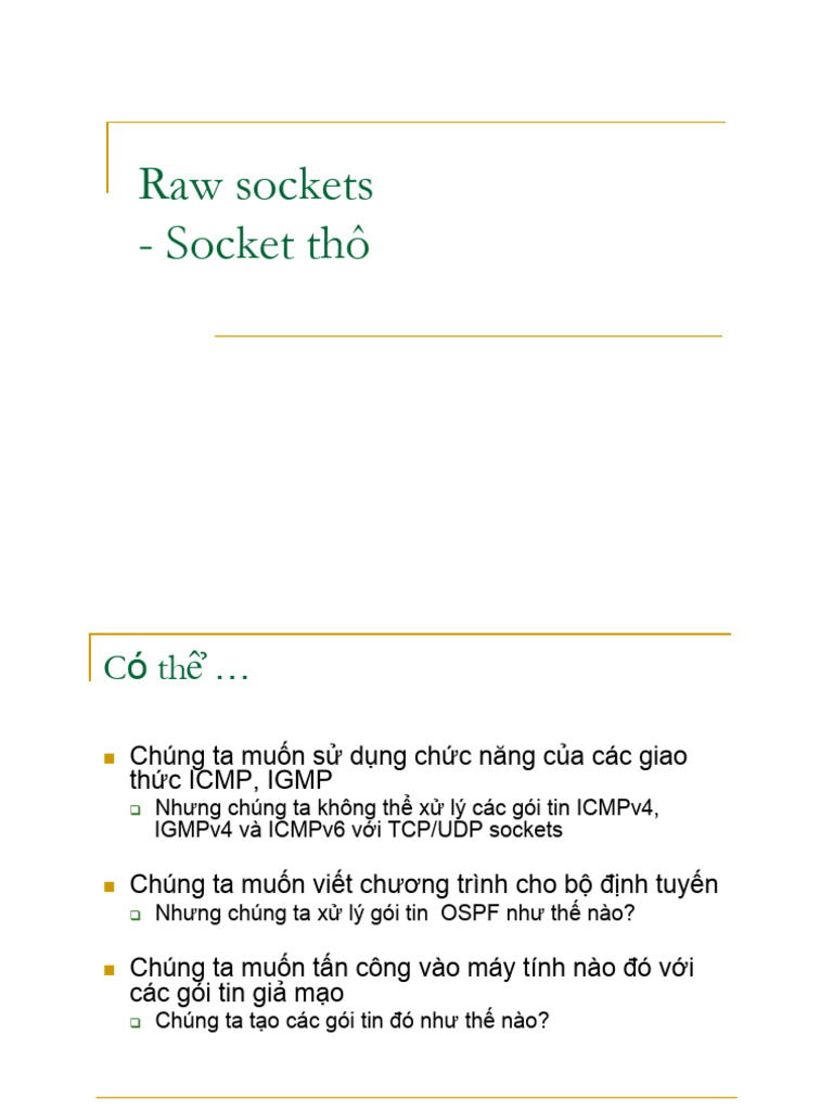 Bai 4 Lap Trinh Raw Socket | PDF