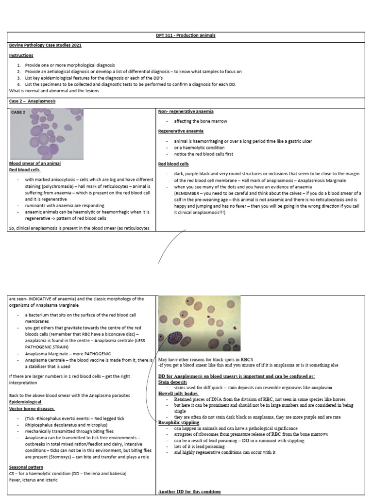 DPT Case 2 and 3 | PDF | Anemia | White Blood Cell