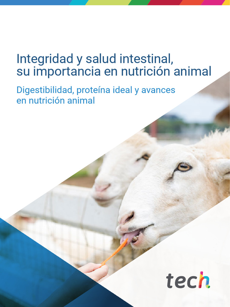 M4T8- Nutrición Animal | PDF | Digestión | Sistema digestivo humano
