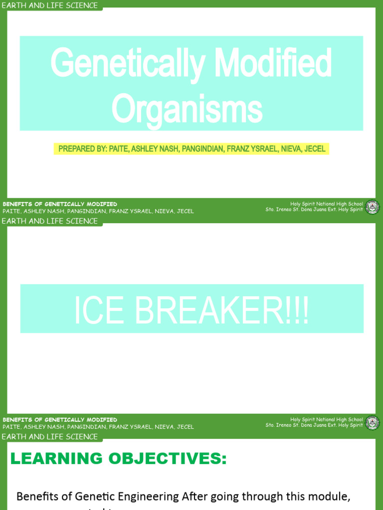 GMO Benefits and Bioethics Guide | PDF | Genetic Engineering ...