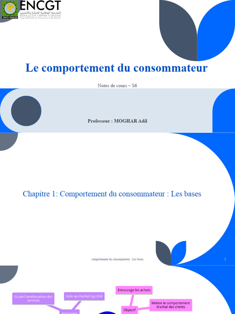Comprendre le comportement du consommateur | PDF | Consommateurs ...