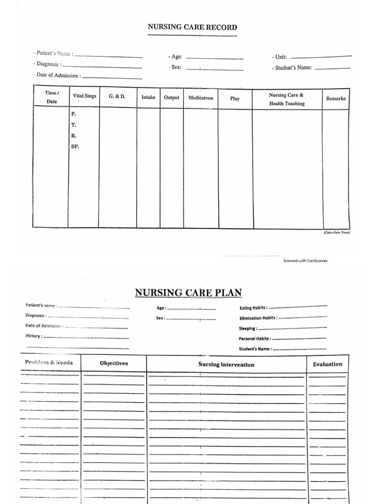 Record & Plan | PDF