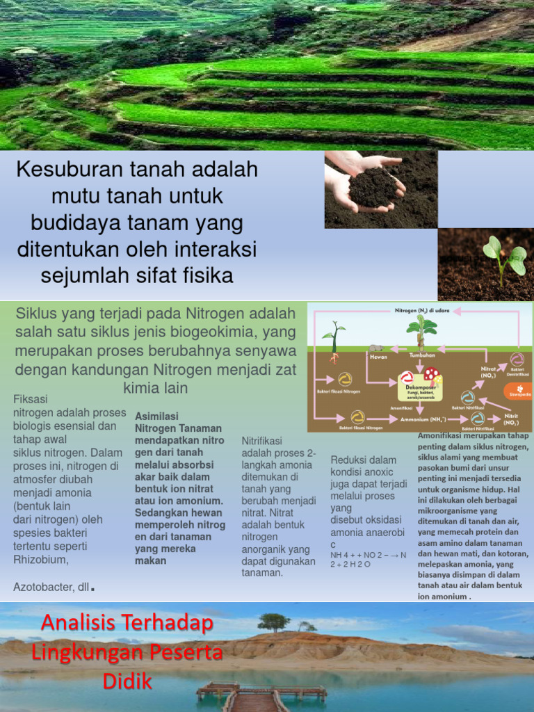 Presentation MODUL 3 | PDF