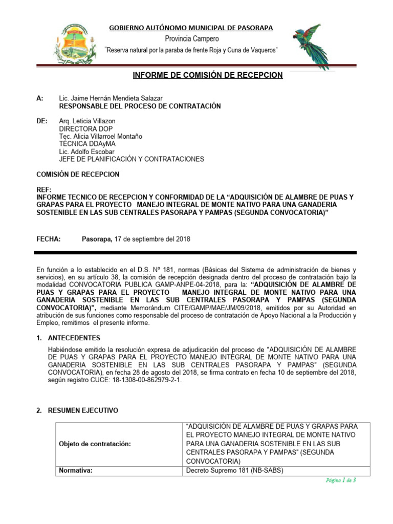 Informe de Recepcion-1 | PDF