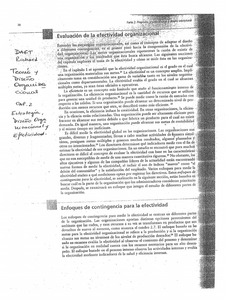 Daft Richard - Disen o Organizacional y Efectividad | PDF