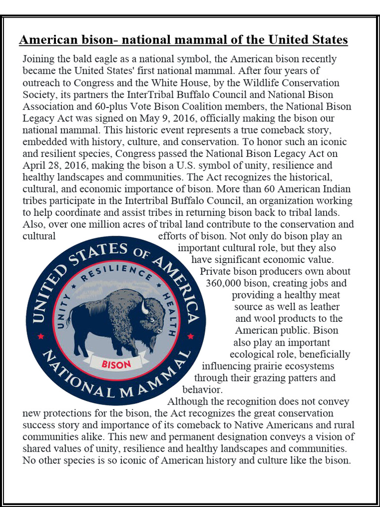 American bison | PDF | Bison | American Bison