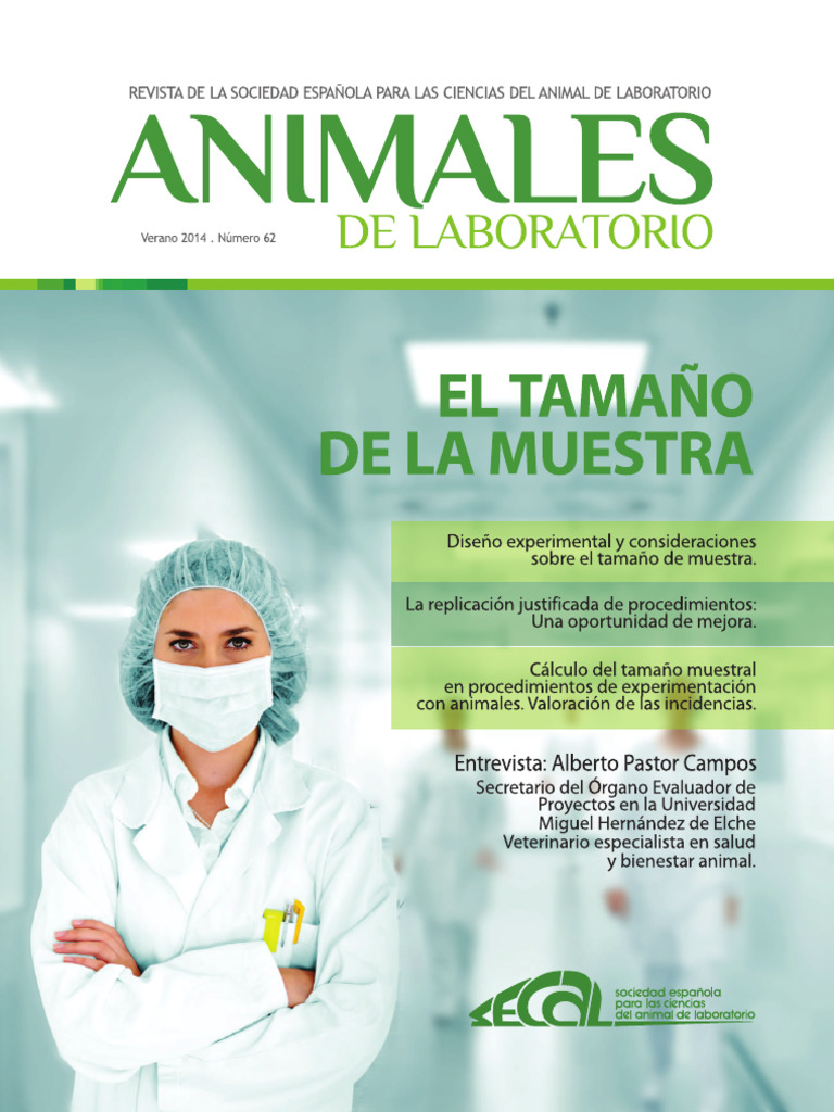 Revista Secal 62 | PDF