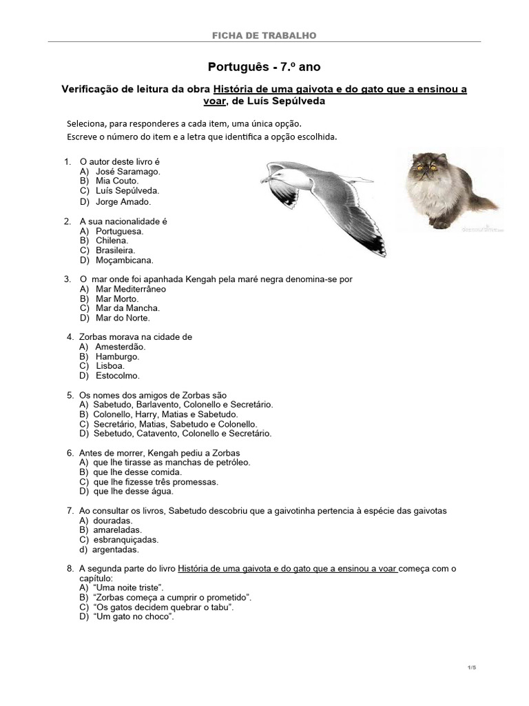 Guião Gaivota 7.ºano Adaptado | PDF | Gatos