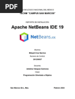 Manual de Instalación de NetBeans y JDK | PDF | Frijoles Netos ...