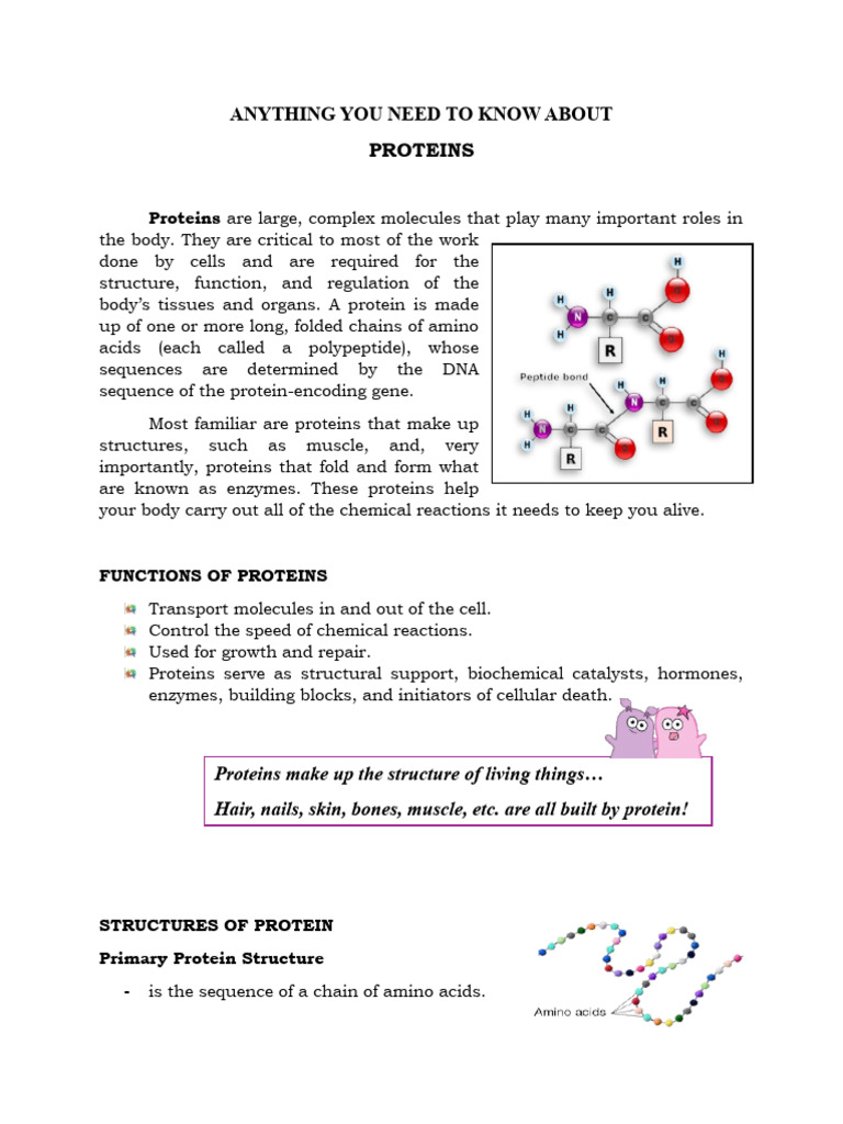 PROTEINS | PDF | Proteins | Cell (Biology)