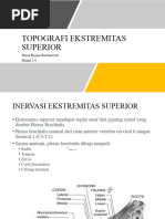 Anatomi dan Fisiologi Aksila | PDF