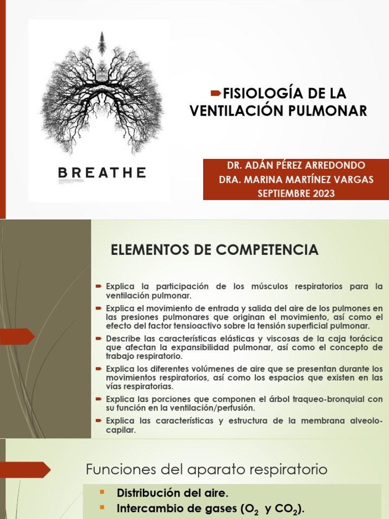 3.- Ventilación pulmonar 9 | PDF | Sistema respiratorio | Pulmón
