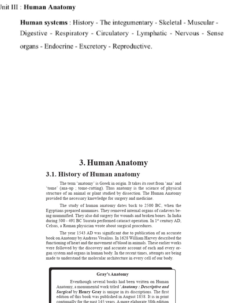 Human Anatomy | PDF | Vertebra | Vertebral Column