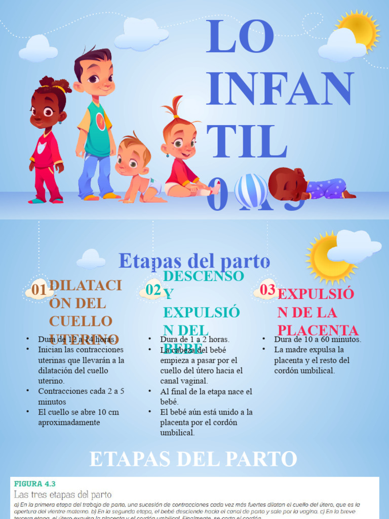 Desarrollo Infantil 0 A 3 | PDF | Parto | Placenta