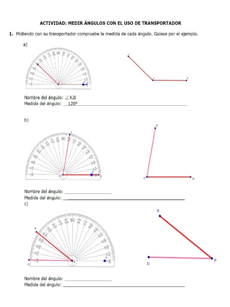 Uso Del Transportador | PDF