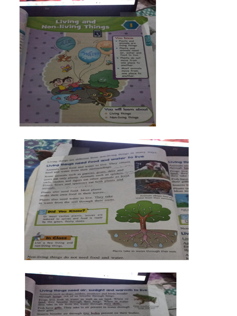 Gracy Gr-3 Science | PDF