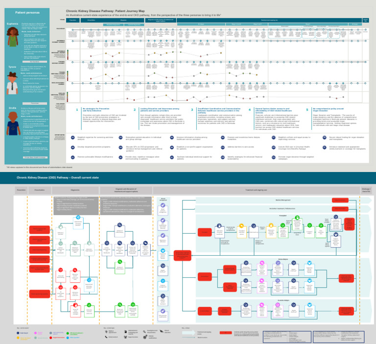 CKD Patient Journey and Service Maps 6 Mar 2024 | PDF | Nephrology | Chronic Kidney Disease
