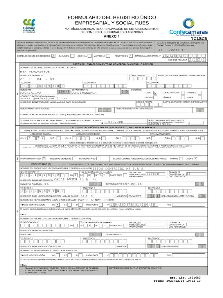 Formulario Renovacion Mic | PDF