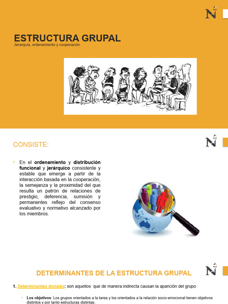 Estructura Grupal | PDF | Liderazgo | Ciencias del comportamiento