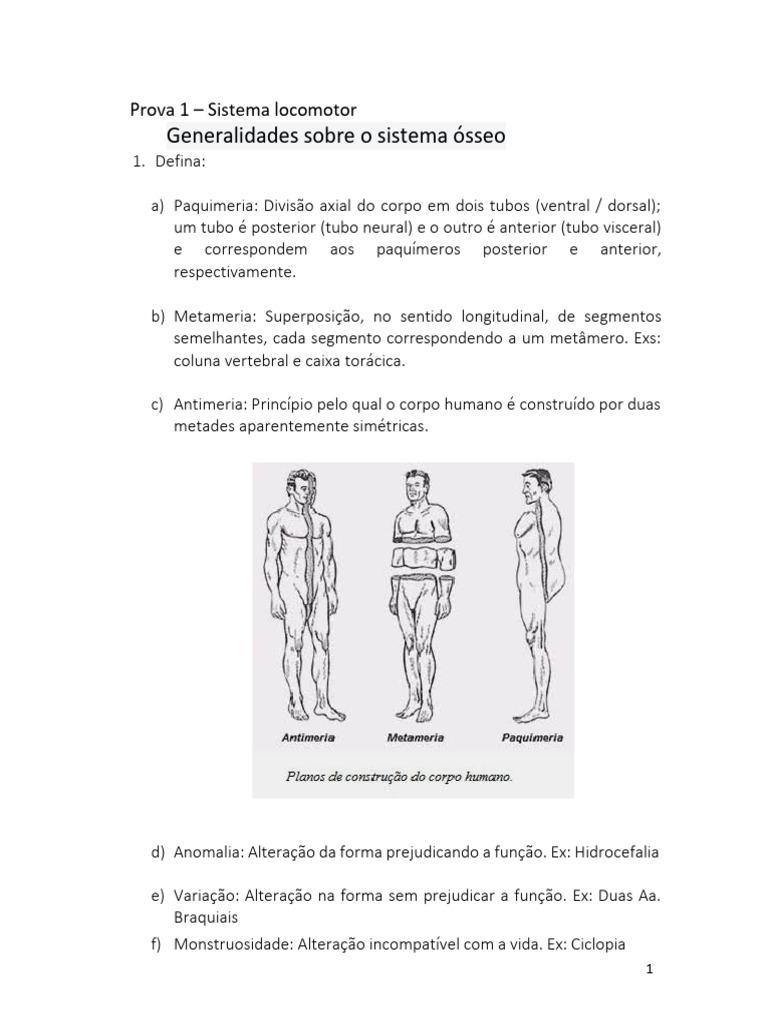 Resumo do Sistema Locomotor | PDF | Sistema Esquelético | Membros ...