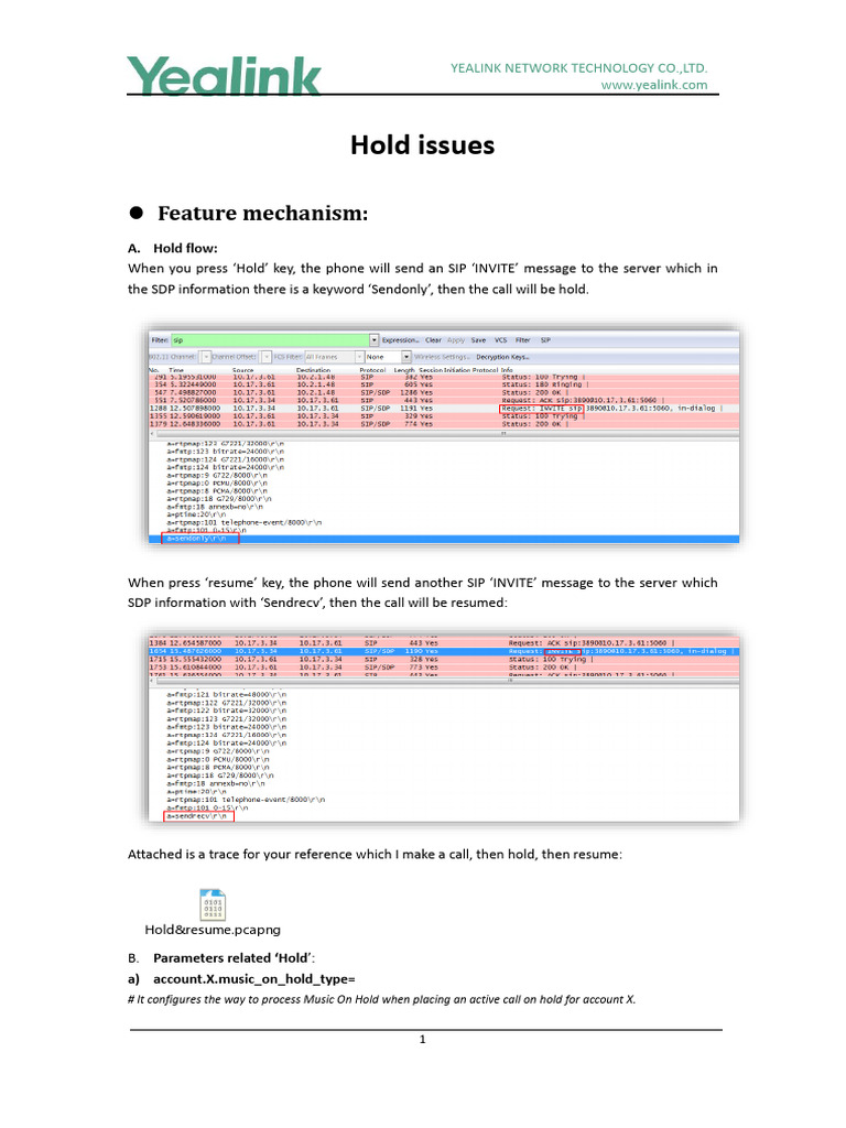 Hold Issues | Download Free PDF | Session Initiation Protocol | World ...