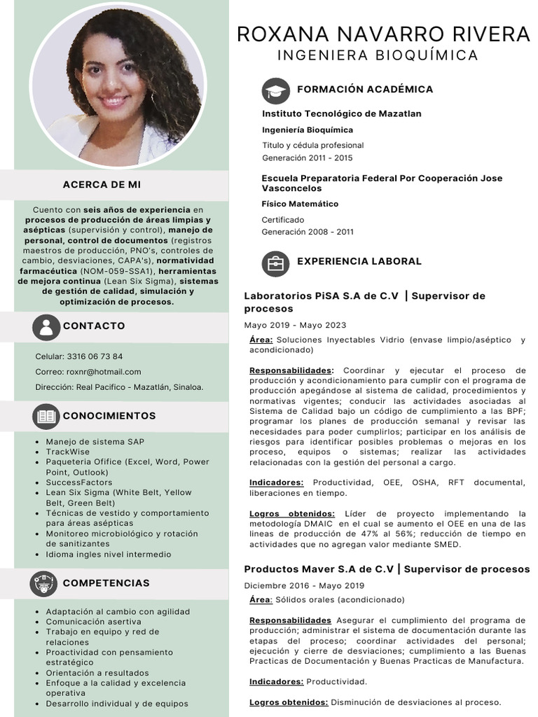 CV-Roxana Navarro | PDF | Six Sigma | Business
